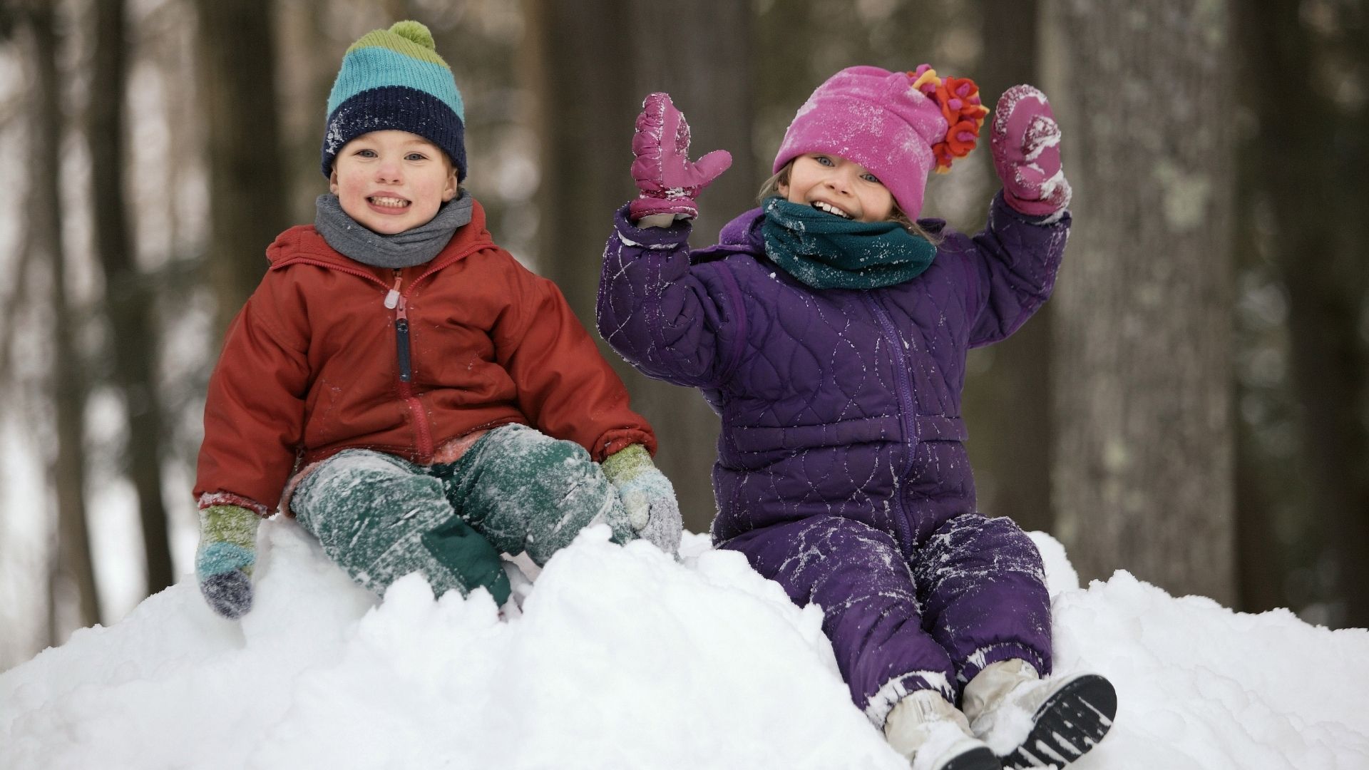 Oaks and Acorns | Royal Botanical Gardens