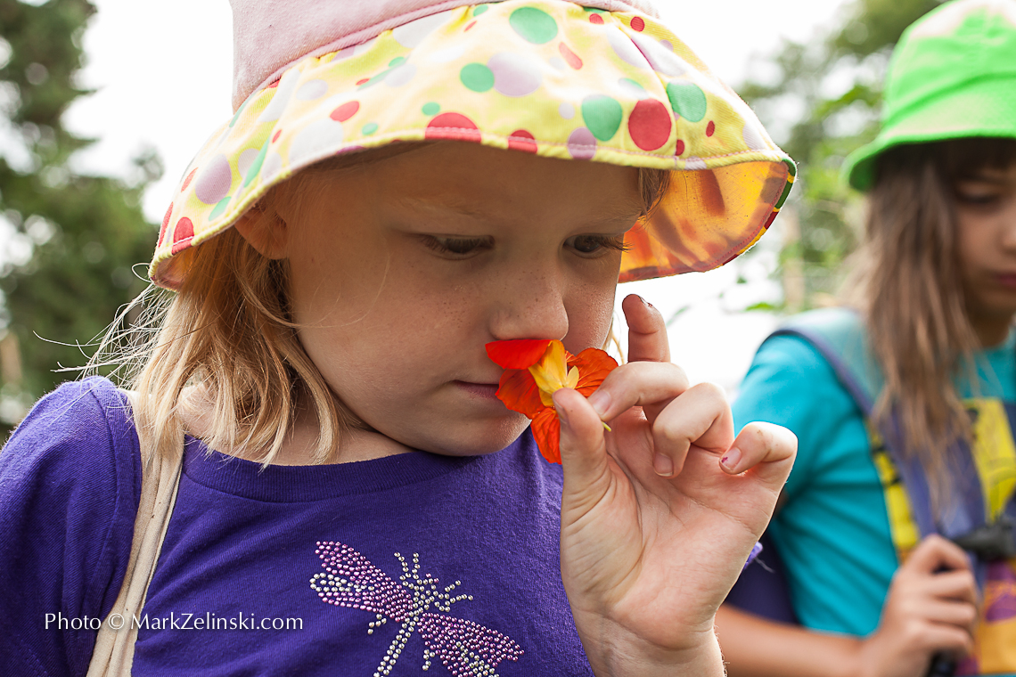 Summer Discovery Camp - Forest Adventures (Age 5) at RBG Centre - Aug 6 ...