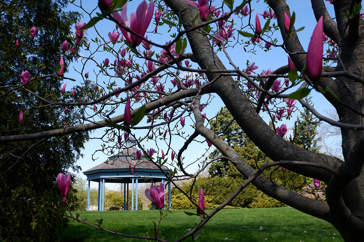 Single Garden Admission: Laking Garden | Royal Botanical Gardens