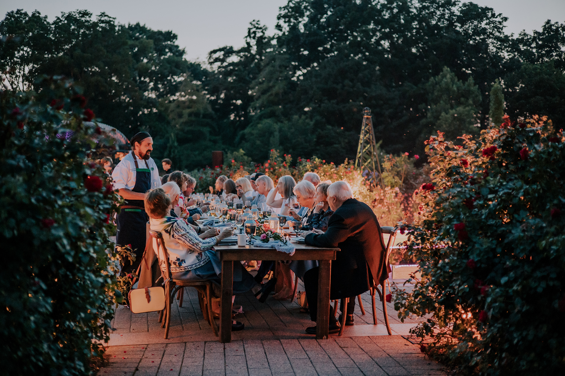 Dining Al Fresco: Roses in Bloom | Royal Botanical Gardens